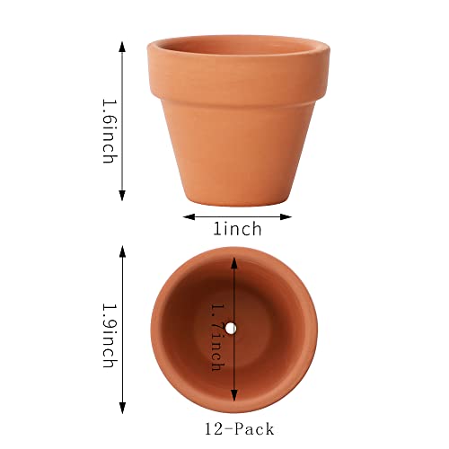 Yishang 1.9 Inch Tiny Terracotta Pots Pack of 12-Small Mini Clay Pots with Drainage Holes Flower Nursery Terra Cotta Planter for Tiny Cactus Herb lithop,Succulent Plants,Crafts,Wedding Favor