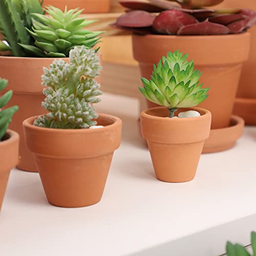 Yishang 1.9 Inch Tiny Terracotta Pots Pack of 12-Small Mini Clay Pots with Drainage Holes Flower Nursery Terra Cotta Planter for Tiny Cactus Herb lithop,Succulent Plants,Crafts,Wedding Favor