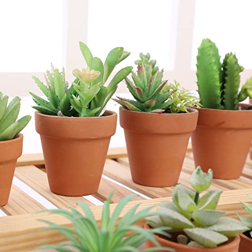 Yishang 2.5 inch Terracotta Pots with Drainage Holes,Small Mini Clay Ceramic Pottery Planter,Cactus Flower Terra Cotta Pots,Succulents Nursery Pots for Indoor/Outdoor Plants,Crafts,Wedding-12 Pack