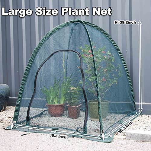 Pop up Gardening Net Cover,36x36x39 inch Pack of 2,Pest Guard Cover for Vegetables Fruits Durable Plant Gardening Net, Pop-Up Chicken Pen for Small Animals Outdoor Run and Pet Enclosure