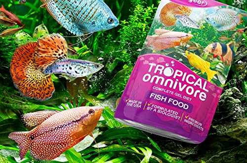 Gargeer 3oz Tropical Omnivore Fish Food for Advanced Breeders. Complete Fresh Water Fish Gel Diet for Juveniles & Adults. Made in The USA Using Premium Ingredients, Ocean Nutrition Gourmet Formula