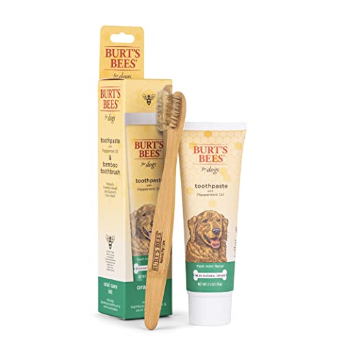 Burt's Bees for Pets Natural Oral Care Kit | Dog Dental Kit with Toothpaste & Bamboo Toothbrush | Dog Toothbrush and Toothpaste with Honeysuckle & Peppermint Oil, Fresh Mint Flavor (2.5 oz)