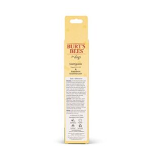 Burt's Bees for Pets Natural Oral Care Kit | Dog Dental Kit with Toothpaste & Bamboo Toothbrush | Dog Toothbrush and Toothpaste with Honeysuckle & Peppermint Oil, Fresh Mint Flavor (2.5 oz)