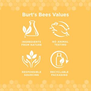 Burt's Bees for Pets Natural Oral Care Kit | Dog Dental Kit with Toothpaste & Bamboo Toothbrush | Dog Toothbrush and Toothpaste with Honeysuckle & Peppermint Oil, Fresh Mint Flavor (2.5 oz)