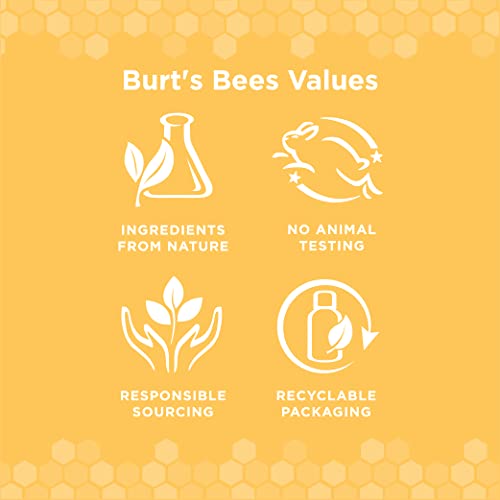 Burt's Bees for Pets Natural Oral Care Kit | Dog Dental Kit with Toothpaste & Bamboo Toothbrush | Dog Toothbrush and Toothpaste with Honeysuckle & Peppermint Oil, Fresh Mint Flavor (2.5 oz)