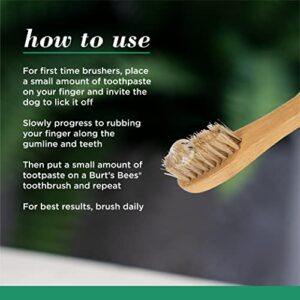 Burt's Bees for Pets Natural Oral Care Kit | Dog Dental Kit with Toothpaste & Bamboo Toothbrush | Dog Toothbrush and Toothpaste with Honeysuckle & Peppermint Oil, Fresh Mint Flavor (2.5 oz)