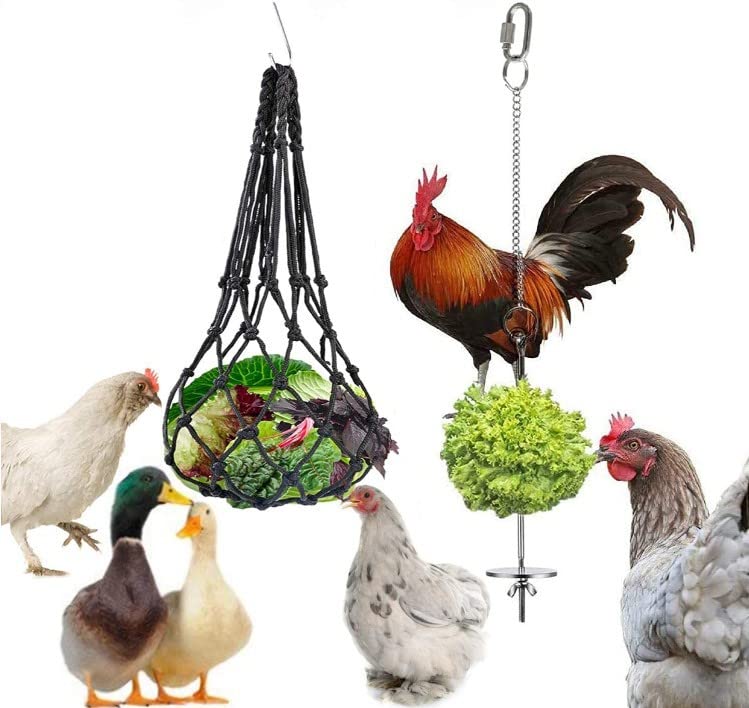 AFXOBO 4Pcs Bird Chicken Pet Toy Net Bag Swing Chewing Pet Toy Chicken Bird Cage Accessories *TUQ0073