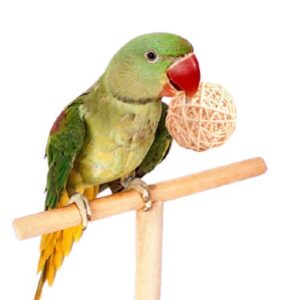 Parrot Chew Toys Bird Toys, 30 Pcs 1.2 inch Rattan Wicker Balls Parakeet Chewing Toys, for Budgies Conures Hamsters Bunny Toy, Decoration for DIY Craft Party Wedding