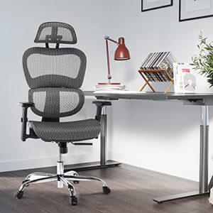 Ergonomic Chair, High Back Executive Style, Modern Office Chair with Lumbar Support, Breathable Mesh Covering, Fully Adjustable Armrests, Height and Headrest, Grey