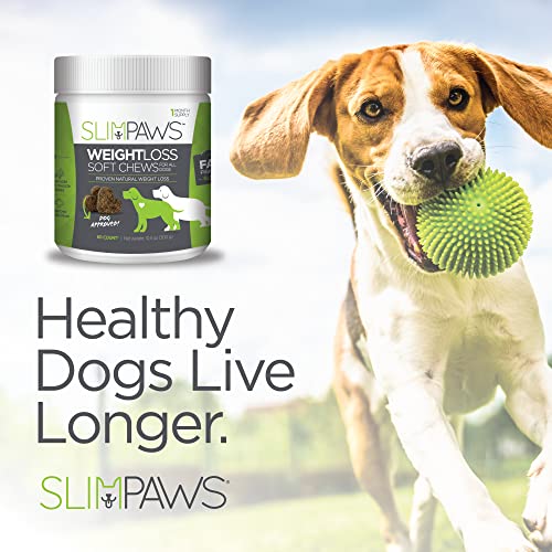 SlimPaws Healthy Weight Soft Chews for Dogs | Chicken Flavor | 60 Count | Made in America