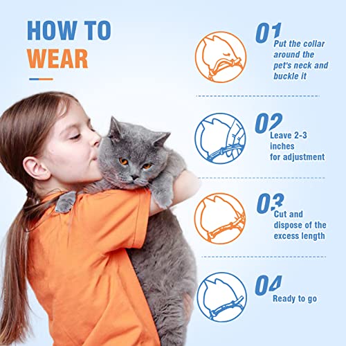 4 Packs Cat Calming Collar for Cats Pheromone Collar Efficient Relieve Reduce Anxiety Stress Pheromones Calm Relaxing Comfortable Collars Long-Lasting 30 Days Adjustable Breakaway Design Gray