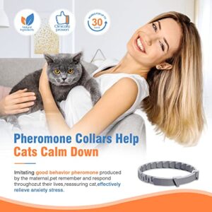 4 Packs Cat Calming Collar for Cats Pheromone Collar Efficient Relieve Reduce Anxiety Stress Pheromones Calm Relaxing Comfortable Collars Long-Lasting 30 Days Adjustable Breakaway Design Gray