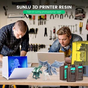 SUNLU 3D Printer Resin, 1kg Fast Curing Standard 3D Resin for LCD DLP SLA Resin 3D Printers, 395-405nm UV Light Curing 3D Printing Liquid Photopolymer Resin, Low Shrinkage, High Precision, 1000g, Grey