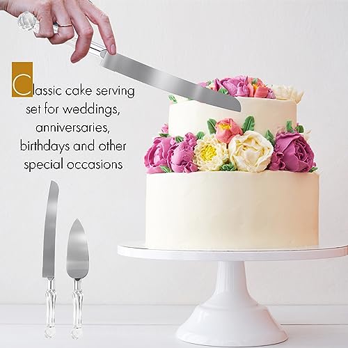 Homi Styles Cake Knife and Server Set | Acrylic Faux Crystal Handles & Premium 420 Stainless Steel Blades | Cake Cutting Set for Wedding Cake, Birthdays, Anniversaries, Parties (Crystal Silver)