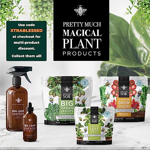 Big Green Leaves | Superfood Houseplant Fertilizer, Indoor Plants - All Purpose + Sea Kelp | 4X More Concentrated | 12-4-8 NPK (1LB)