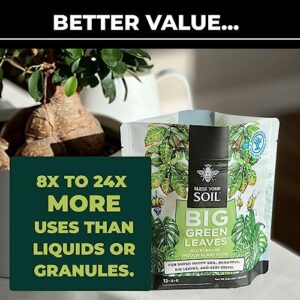 Big Green Leaves | Superfood Houseplant Fertilizer, Indoor Plants - All Purpose + Sea Kelp | 4X More Concentrated | 12-4-8 NPK (1LB)