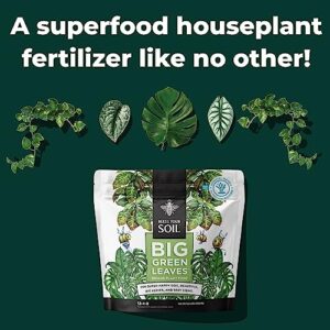 Big Green Leaves | Superfood Houseplant Fertilizer, Indoor Plants - All Purpose + Sea Kelp | 4X More Concentrated | 12-4-8 NPK (1LB)