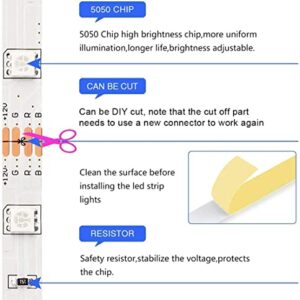 Toocking LED Strip 5 m RGB - LED Strip with Remote Control, LED Strips, Self-Adhesive with 16 Colour Changing, 4 Modes for Home, Cupboard Decoration, Party, Bedroom, TV