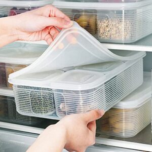 Fridge Food Storage Container with Airtight Lid , 6 Removable Plastic Small Boxes, Reusable Fruit & Vegetable Organizer, Stackable for Storage Storage