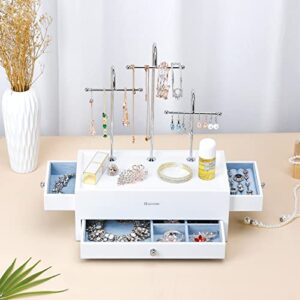 Homde Jewelry Organizer for Necklace Earrings Rings with Metal Hooks (White)