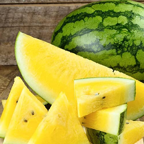 TomorrowSeeds - Yellow Crimson Watermelon Seeds - 20+ Count Packet - for 2023 Open Pollinated Non GMO Sweet Tropical Exotic Melon USA Garden