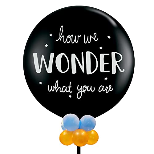 Gender Reveal Balloons (How We Wonder Deluxe Balloon)