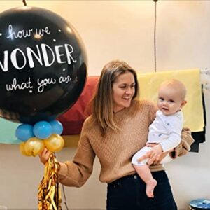 Gender Reveal Balloons (How We Wonder Deluxe Balloon)