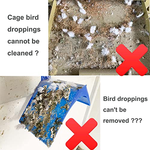 BUAKAW-X Bird droppings Clean Pigeon droppings Scraper Straight Pigeon loft Tool Pigeon Home nest Cleaning Scraper