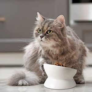 KITCHENLESTAR Ceramic Raised Cat Bowls, Slanted Cat Dish Food or Water Bowls, Elevated Porcelain Pet Feeder Bowl Protect Cat's Spine, Stress Free, Backflow Prevention (Grey) (White)