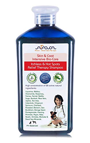 Arava Natural Medicated Dog Shampoo – Anti Yeast Anti Itch Dog Shampoo - Healthy Skin & Coat - First Aid in Hot Spots Ringworm Scrapes Abrasions & Dermatologic Infections - 400ml / 13.5 fl oz