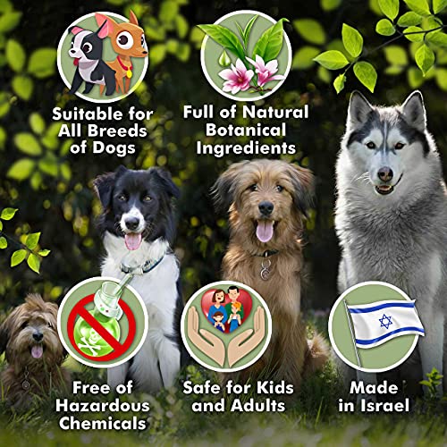 Arava Natural Medicated Dog Shampoo – Anti Yeast Anti Itch Dog Shampoo - Healthy Skin & Coat - First Aid in Hot Spots Ringworm Scrapes Abrasions & Dermatologic Infections - 400ml / 13.5 fl oz