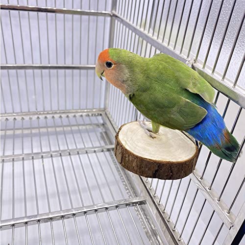 Gigicloud 4 Pcs Bird Perch Stand Set, Natural Wood Parrot Stick Platform Birdcage Stands Parrot Perches Stand Cage Accessories Cockatiel Toys for Budgies Parakeets Lovebirds