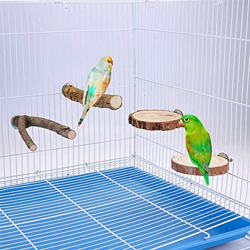 Gigicloud 4 Pcs Bird Perch Stand Set, Natural Wood Parrot Stick Platform Birdcage Stands Parrot Perches Stand Cage Accessories Cockatiel Toys for Budgies Parakeets Lovebirds