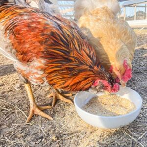 Pampered Chicken Mama Egg-Cellent Yolks: Organic Chicken Feed Supplement & Duck Food for Golden Yolks (2.5 pounds)