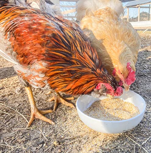 Pampered Chicken Mama Egg-Cellent Yolks: Organic Chicken Feed Supplement & Duck Food for Golden Yolks (2.5 pounds)