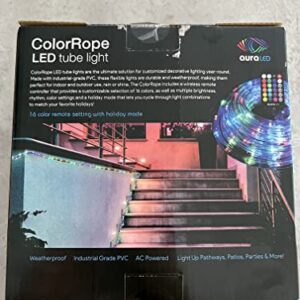 Color Rope LED Tube Light W/Remote 16'