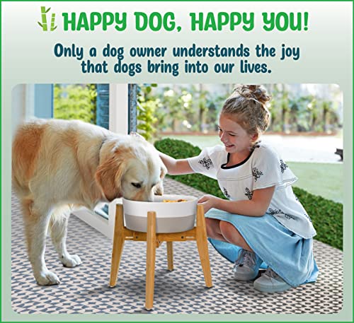 Dog Bowl Stand for Medium to Large Dog Breeds - 12-inch High, Adjustable Width with Locks - Dog Water, Food Dish Compatible - Tip-Over Resistant