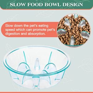 BINGPET Small Dog Bowls - Water and Food Bowl for Cat Dog - Slow Feeder Pet Bowl, Automatic Water Dispenser Detachable Feeder Bowls for Puppies and Cats