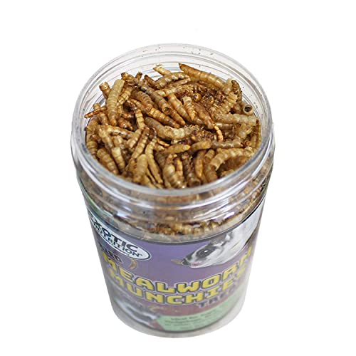 Exotic Nutrition Mealworm Munchies (1.9 oz.) - All Natural Healthy High Protein Insect Treat - Chickens, Birds, Hedgehogs, Bluebirds, Reptiles, Sugar Gliders, Opossums, Skunks, Lizards, Fish