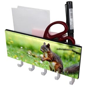 cute squirrel mail holder organizer and key hooks pu front, self adhesive key rack with 5 hooks perfect for entryway, hallway，bathroom ，kitchen