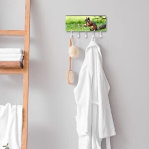 Cute Squirrel Mail Holder Organizer and Key Hooks PU Front, Self Adhesive Key Rack with 5 Hooks Perfect for Entryway, Hallway，Bathroom ，Kitchen