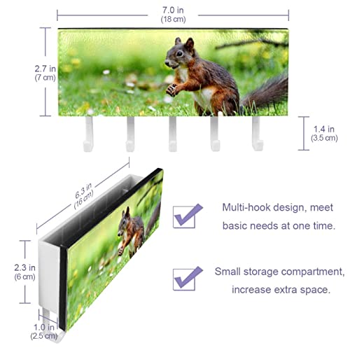 Cute Squirrel Mail Holder Organizer and Key Hooks PU Front, Self Adhesive Key Rack with 5 Hooks Perfect for Entryway, Hallway，Bathroom ，Kitchen