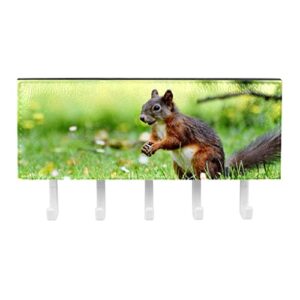 Cute Squirrel Mail Holder Organizer and Key Hooks PU Front, Self Adhesive Key Rack with 5 Hooks Perfect for Entryway, Hallway，Bathroom ，Kitchen