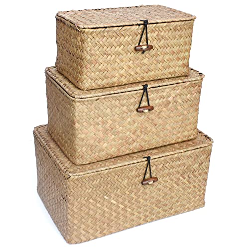 TICYACK Straw Storages Baskets With Lid, Hand-Woven for Seagrass, for Desktop Home Decoration (S/M/L)