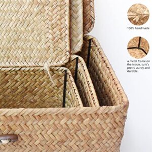 TICYACK Straw Storages Baskets With Lid, Hand-Woven for Seagrass, for Desktop Home Decoration (S/M/L)