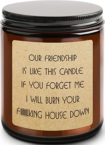 UENOW Lavender Scented Candles, Best Gifts for Friends, Friendship Gifts for Women Men, Gag Gifts for Her Him, Going Away Gifts on Graduation, Funny Saying Candle for Birthday Christmas Thanksgiving