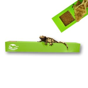 geckopia reptile flex bridge | reptile bridge | gecko bridge | gecko ledge | reptile vine | reptile terrarium decoration | reptile branch alternative (green)