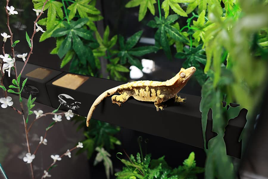 GECKOPIA Reptile Flex Bridge| Reptile Bridge | Gecko Bridge | Gecko Ledge | Reptile Vine | Reptile Terrarium Decoration | Reptile Branch Alternative (Black)