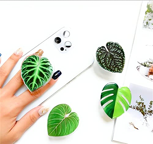 Monstera Anthurium Philodendron Leaf Tropical Aroid Plant Phone Grip Handle for Phone & Tablet (Verrucosum)