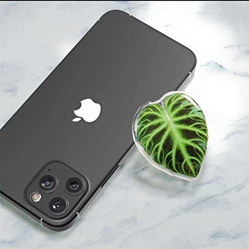 Monstera Anthurium Philodendron Leaf Tropical Aroid Plant Phone Grip Handle for Phone & Tablet (Verrucosum)